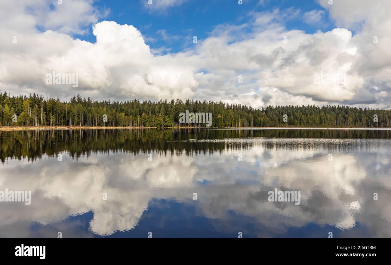 Beautiful landscape of a lake in a forest. Rolley Lake Provincial Park ...