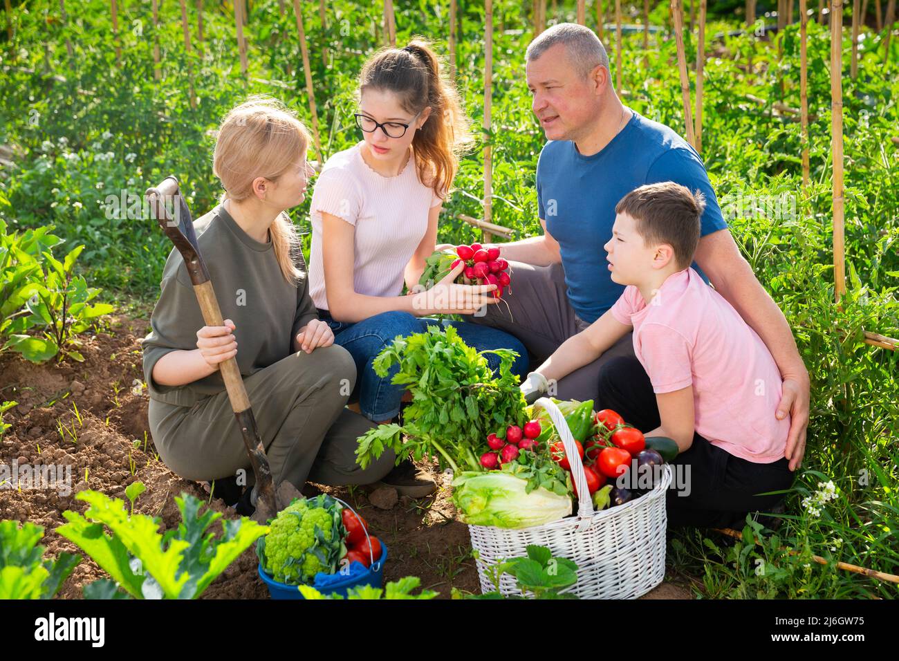 Happy family discussing crop of vegetables in garden Stock Photo - Alamy