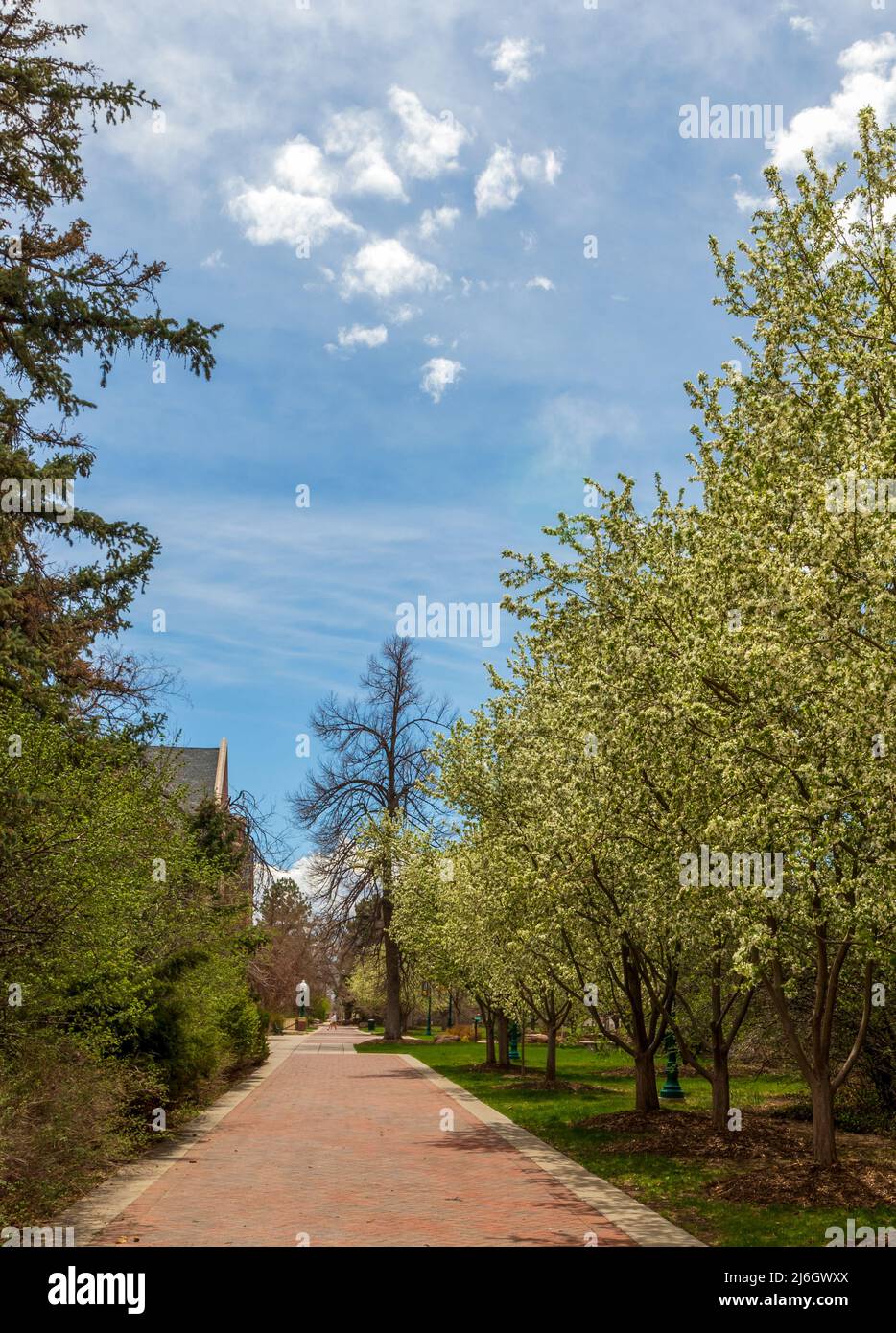 Regis university hi-res stock photography and images - Alamy