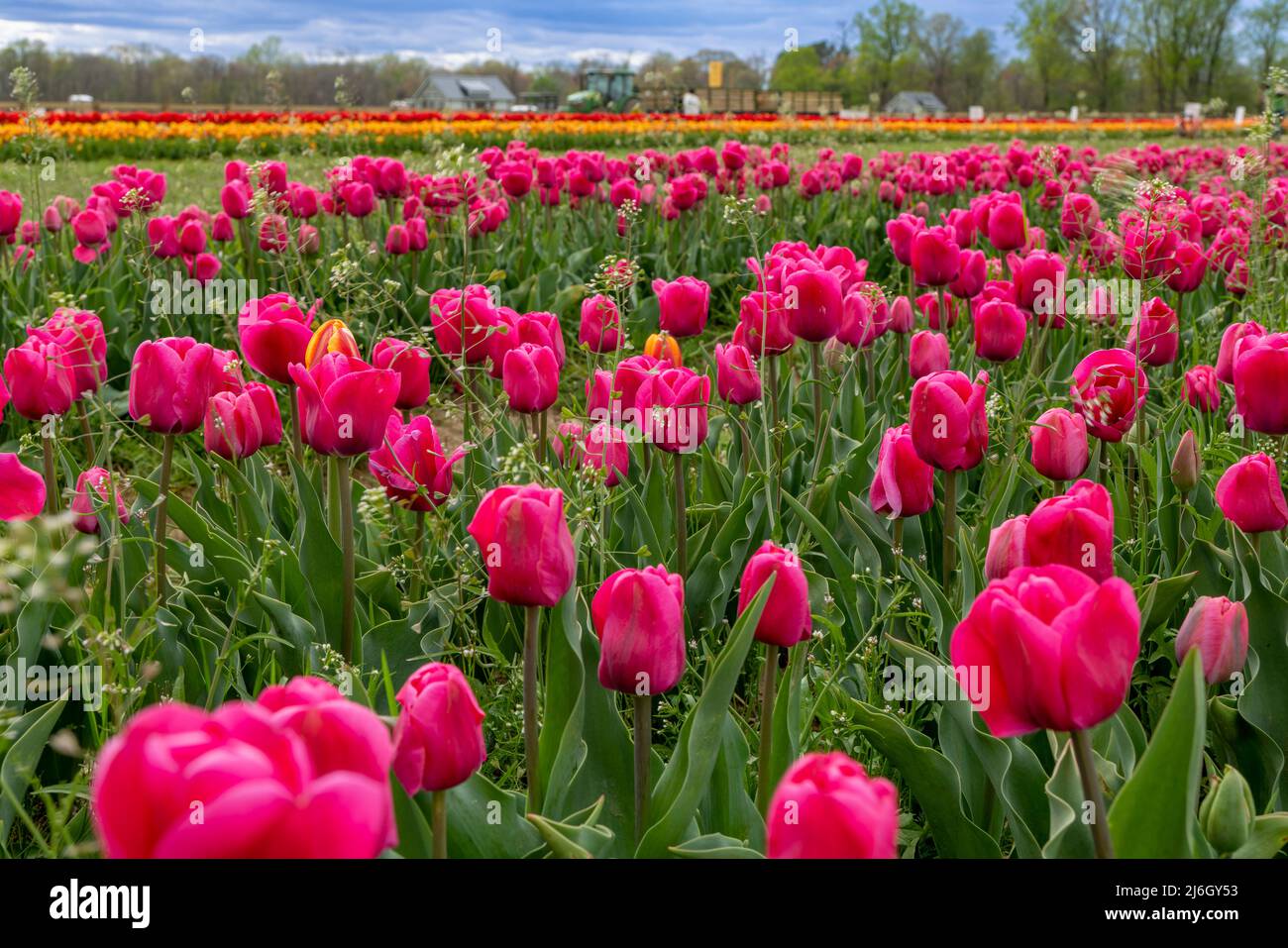 Spring landscape springtime landscape new jersey in spring hi-res stock ...