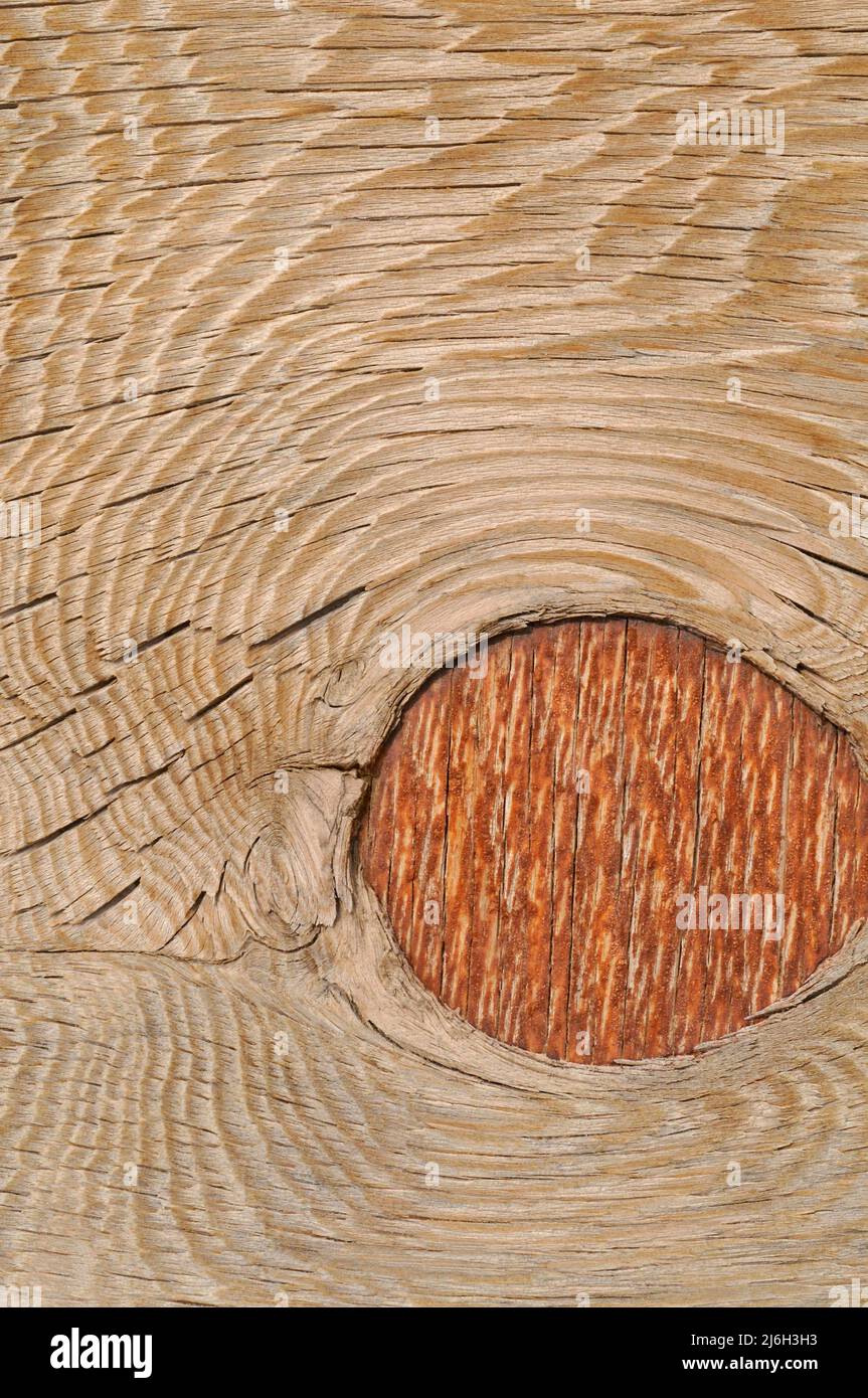 Knothole in a weathered piece of plywood Stock Photo - Alamy