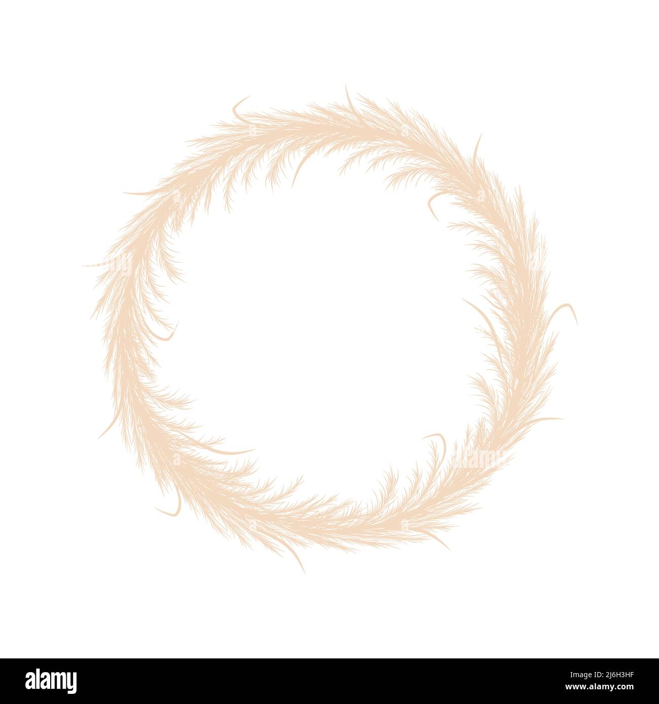 Circle Frame With Dry Pampas Grass Wreath Of Beige Cortaderia In Boho Style Vector Dried
