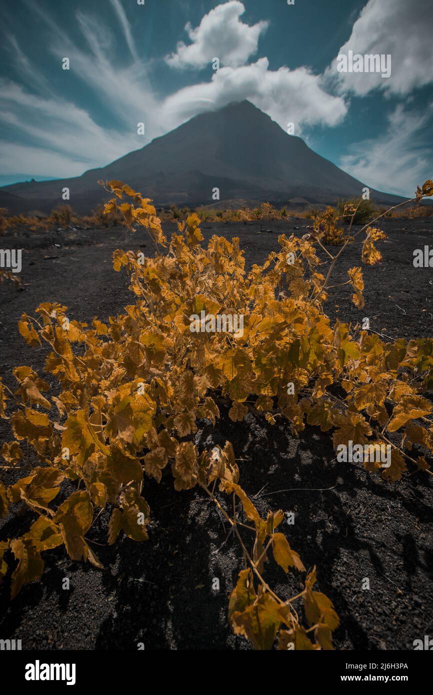 Cape verde mount fogo volcano hi-res stock photography and images - Alamy