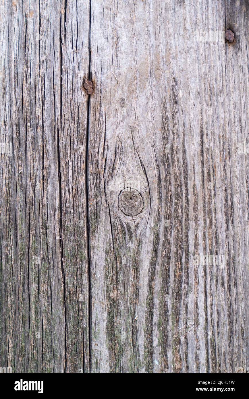 Wooden background gray brown. Wood texture with a fibrous uneven ...