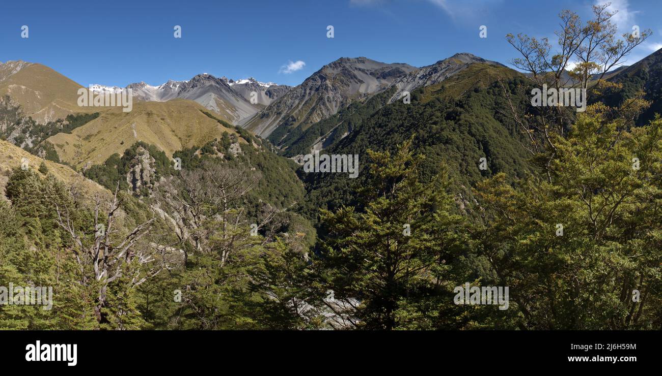 A panoramic image of a forested New Zealand valley and mountains Stock ...