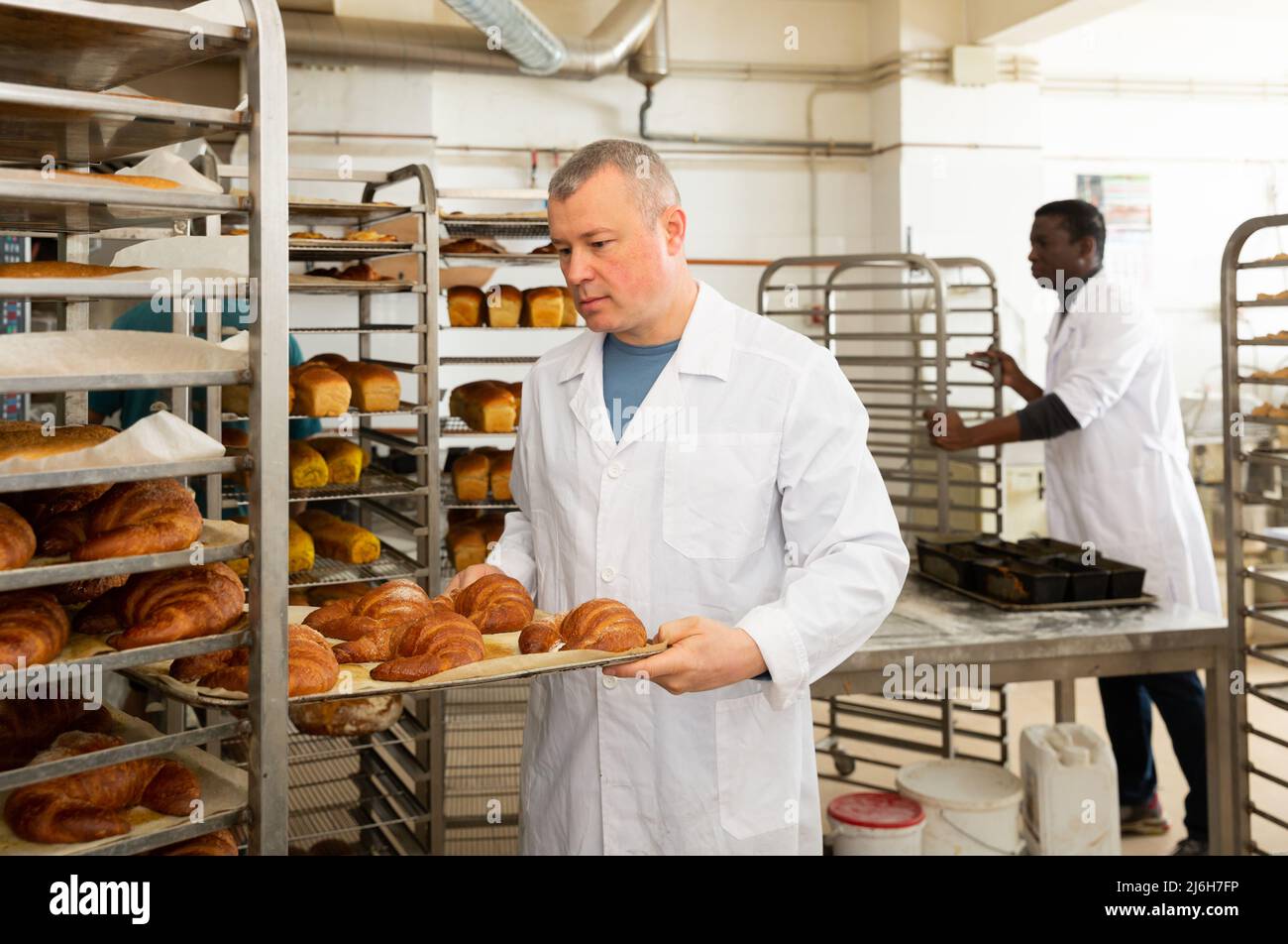 Worker of bakery putting baked baguettes on tray rack Stock Photo - Alamy