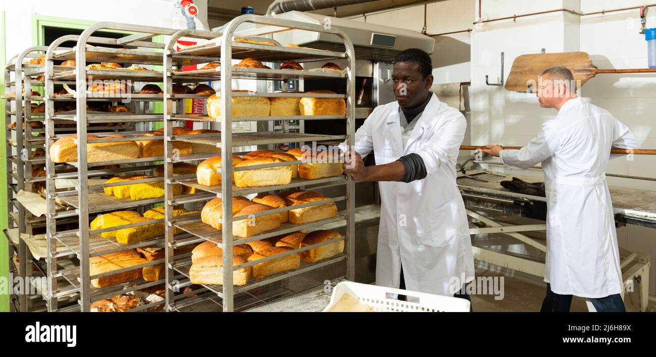 Baker carrying fresh bread hi-res stock photography and images - Alamy