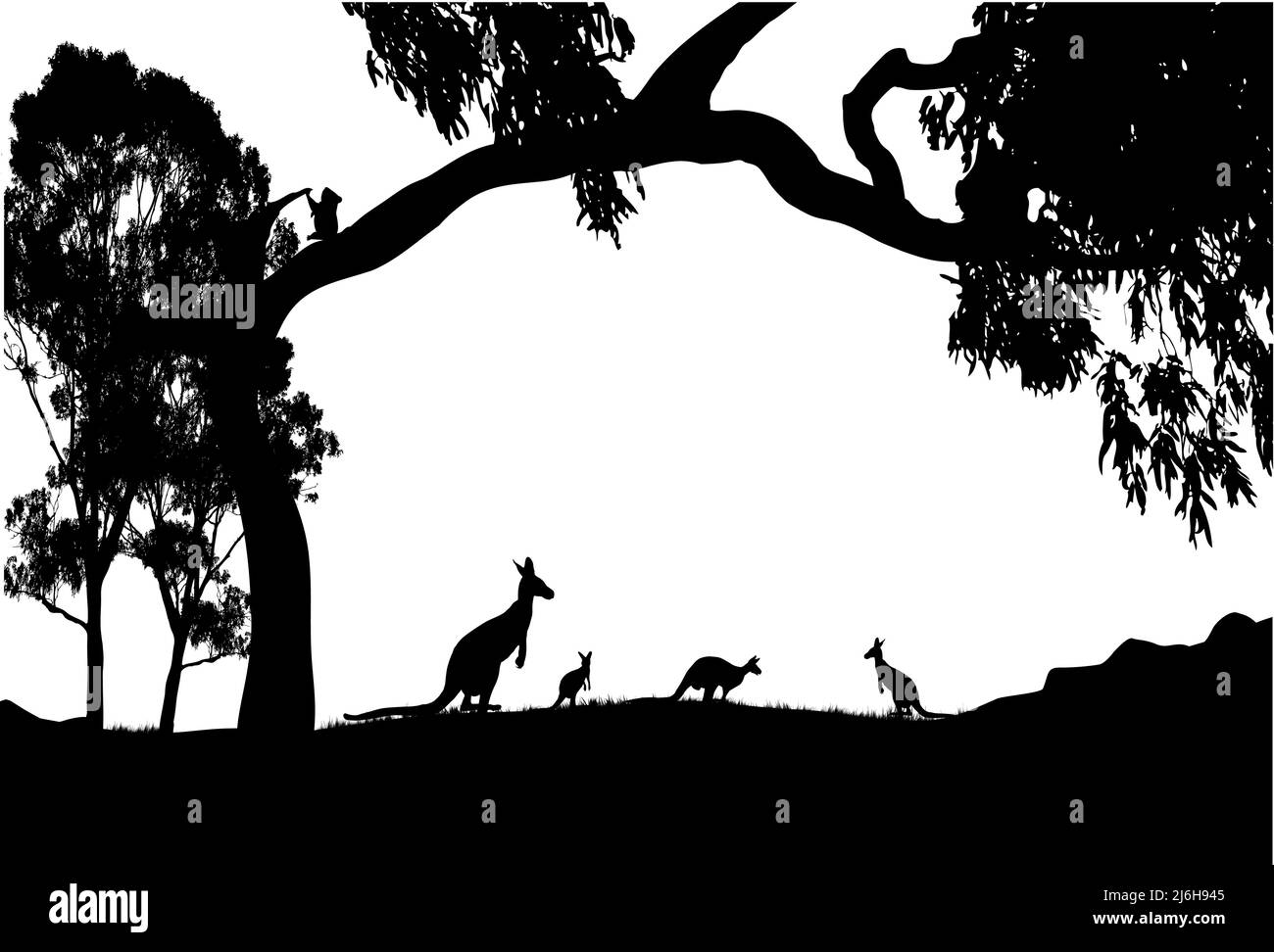 Tree silhouette in australian outback Black and White Stock Photos ...