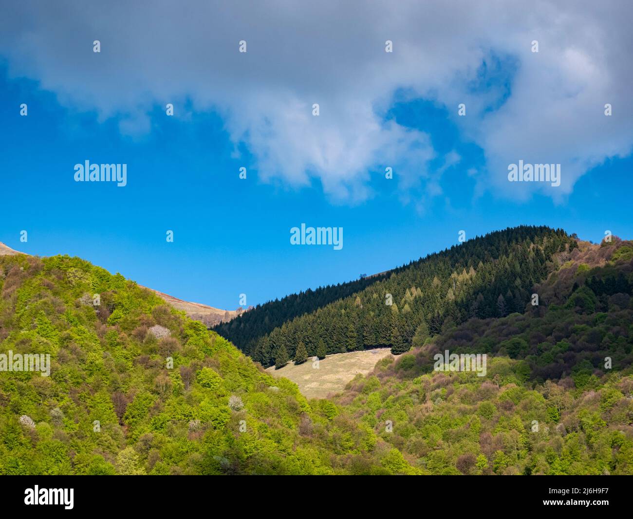 Spring landscape on the alps of Lake Como Stock Photo - Alamy