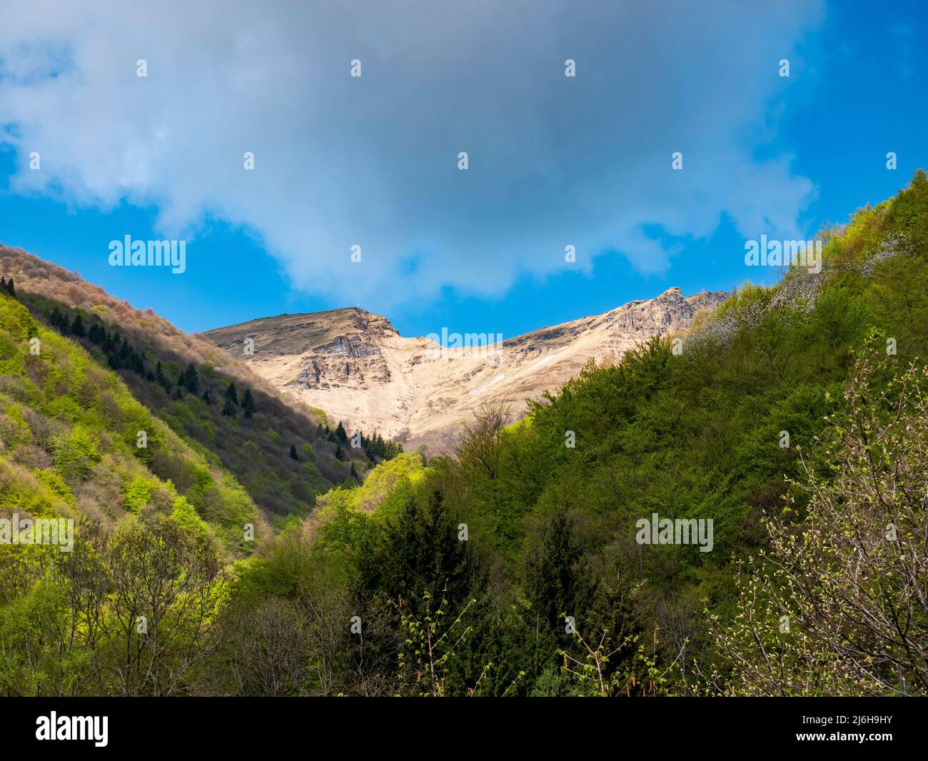 Spring landscape on the alps of Lake Como Stock Photo - Alamy