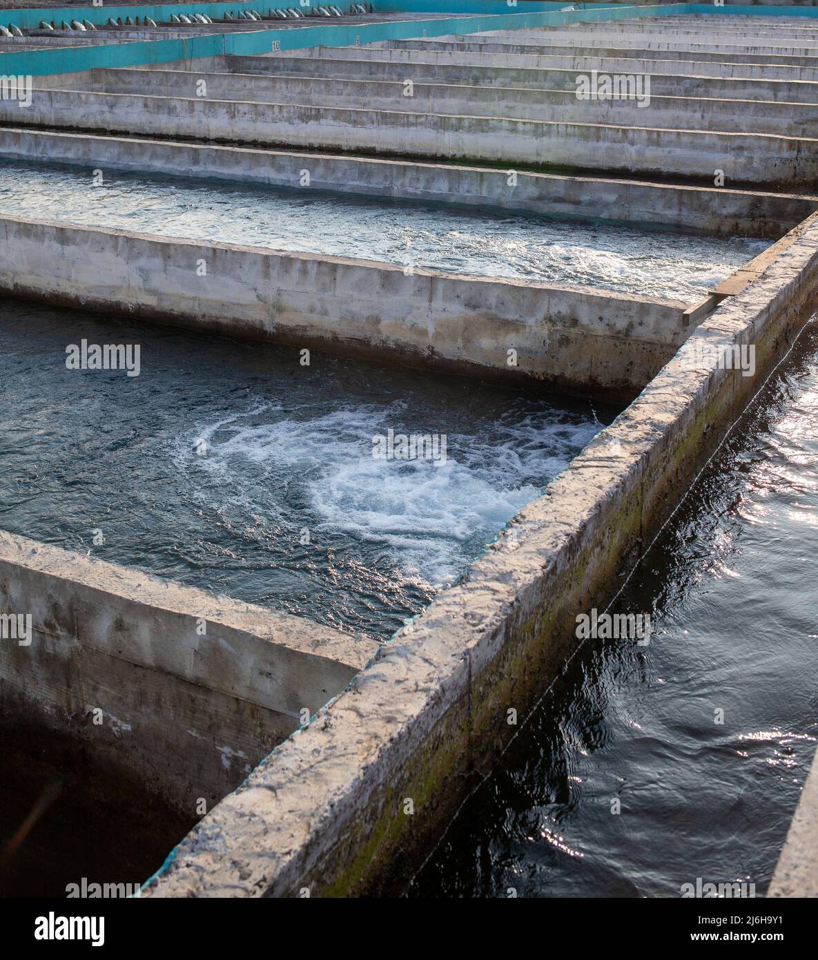 Cultivation of golden trout and other fish in concrete pools. Trout ...