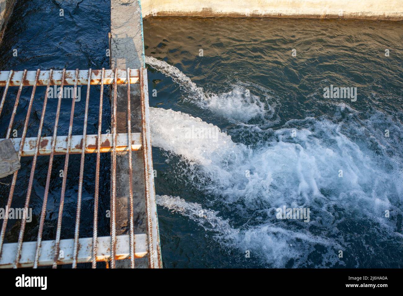 Cultivation of golden trout and other fish in concrete pools. Trout ...