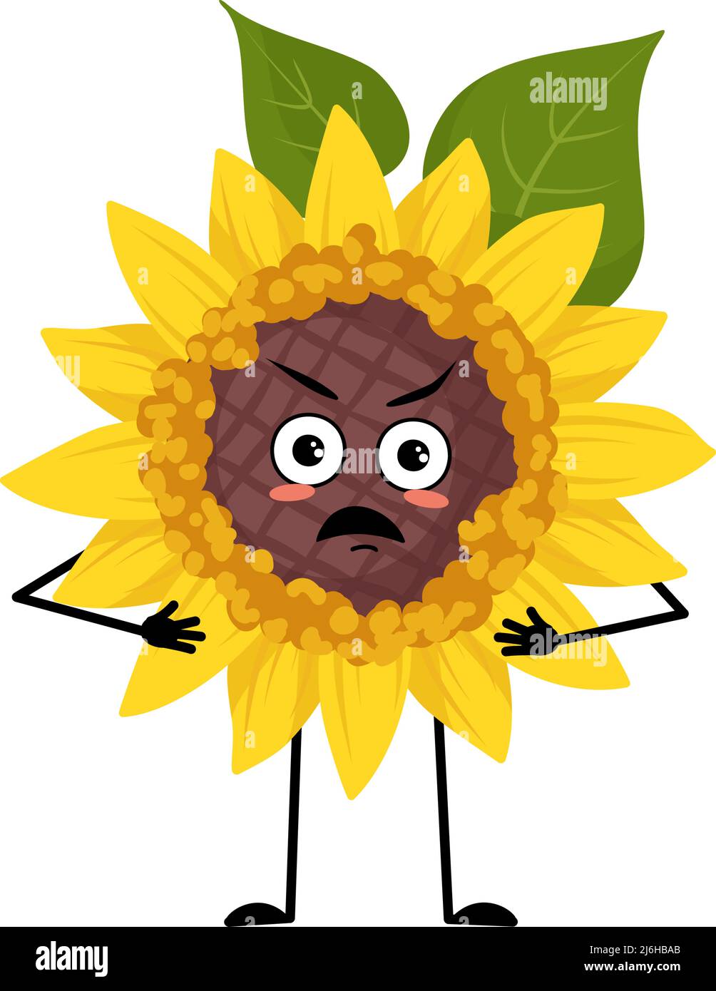 Sunflower character with angry emotions, grumpy face, furious eyes ...