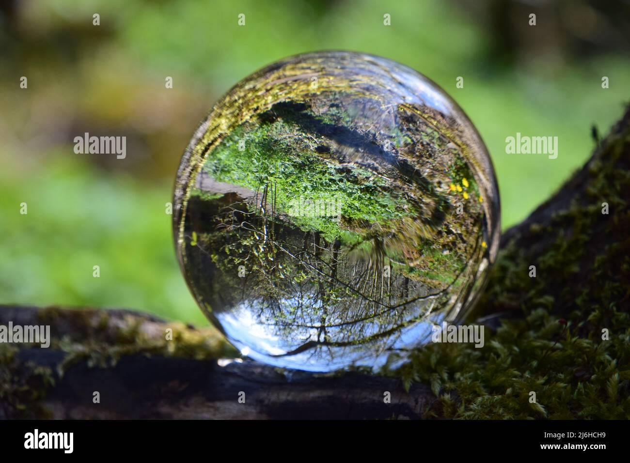 Inverted landscape hi-res stock photography and images - Alamy