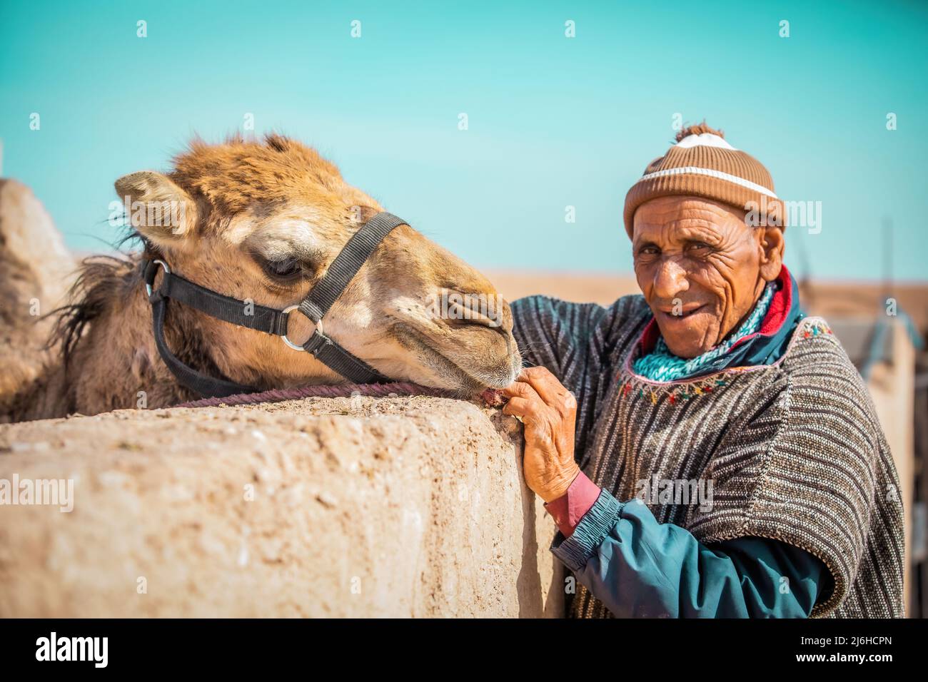 Animals of Morocco Stock Photo - Alamy