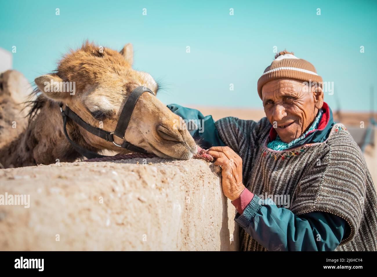 Animals of Morocco Stock Photo - Alamy