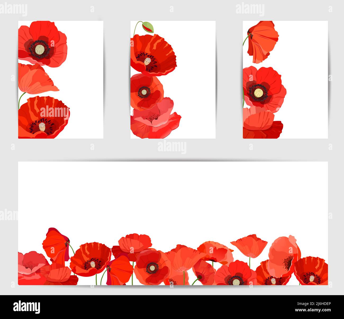 Wild poppies flowers Stock Vector Images - Alamy
