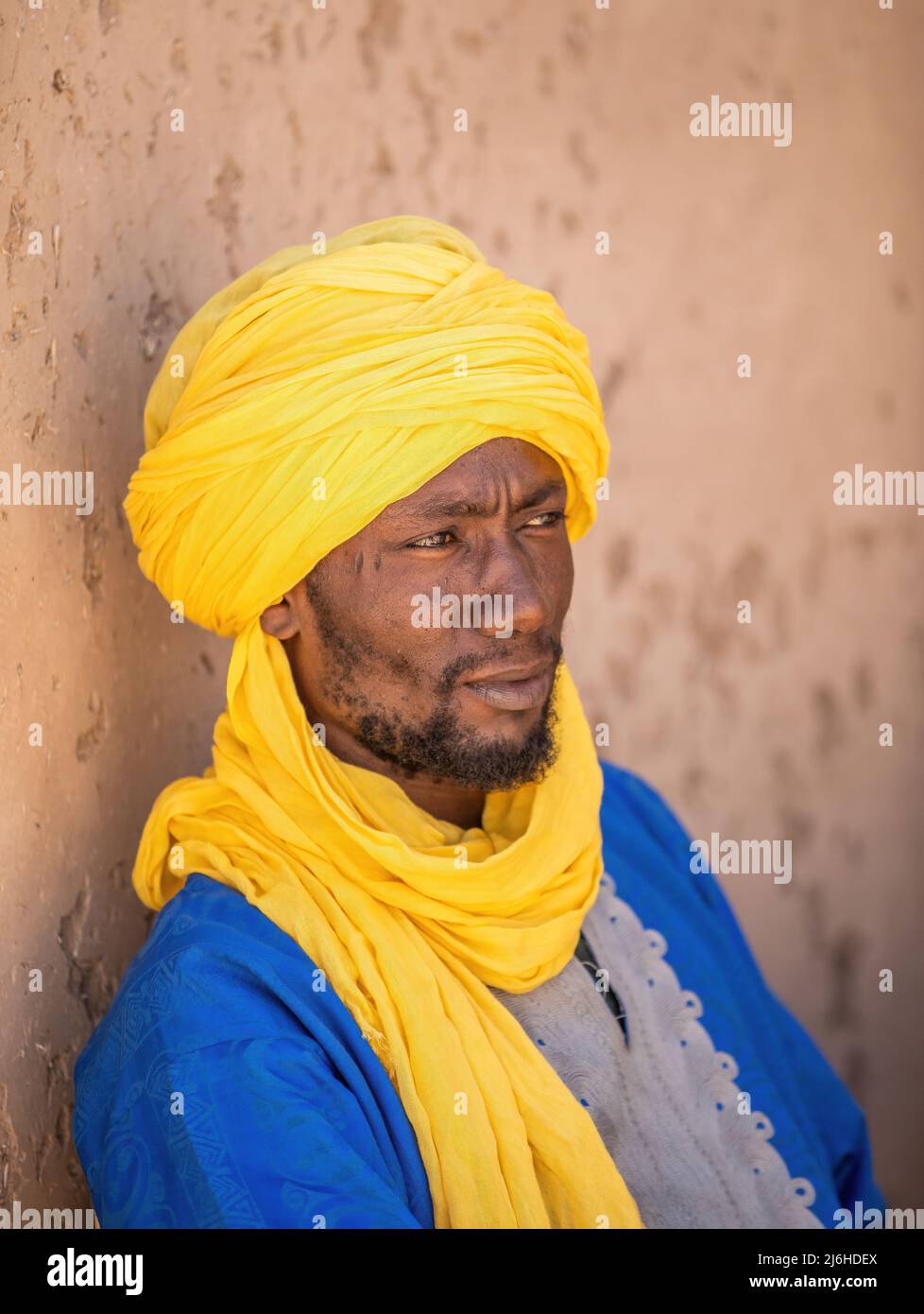 Animals of Morocco Stock Photo - Alamy