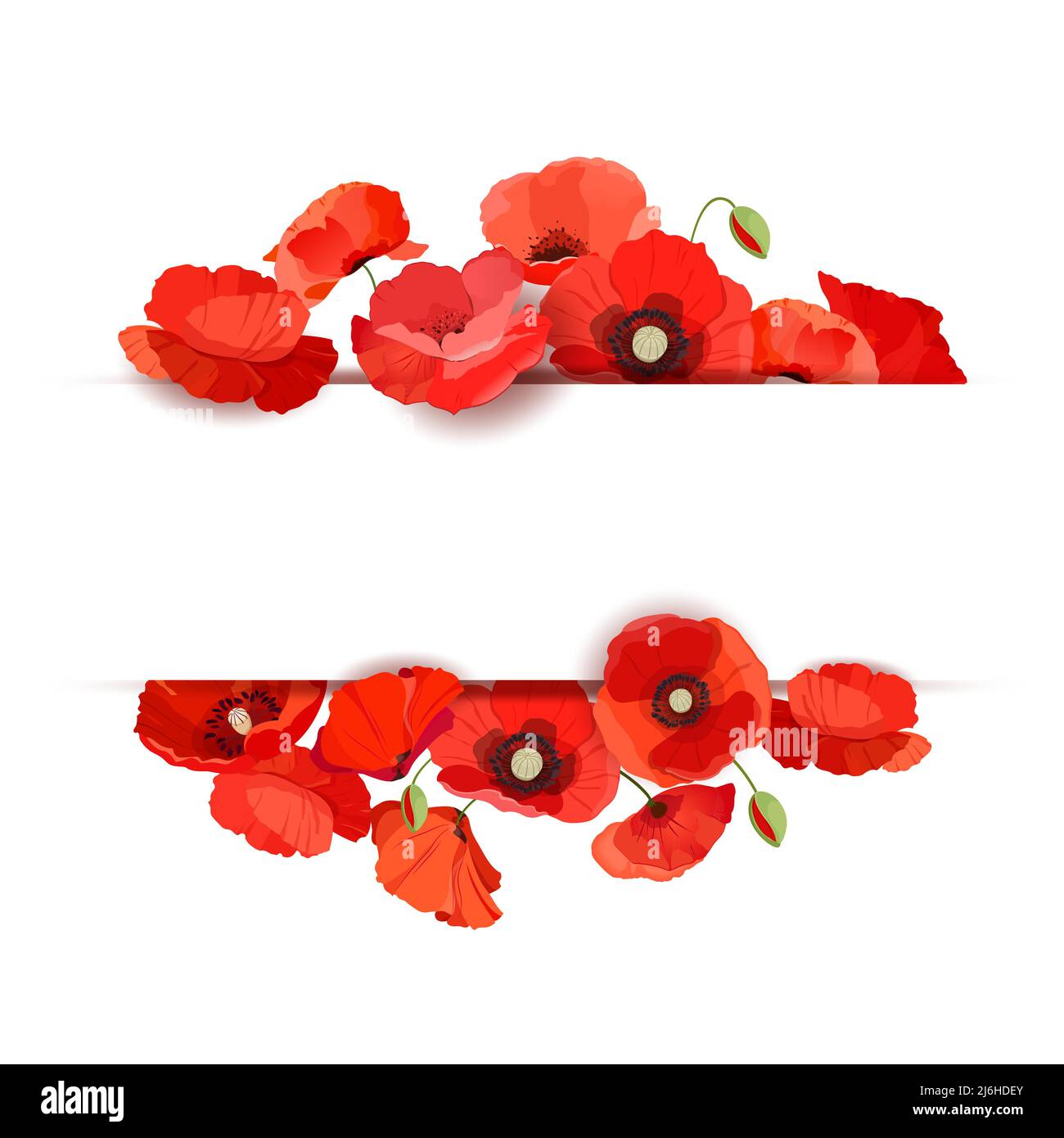 Red field banner Cut Out Stock Images & Pictures - Alamy