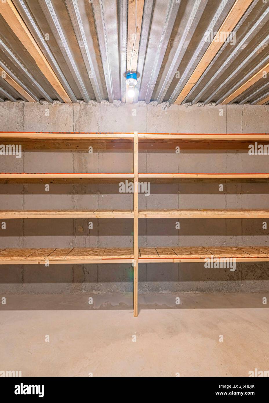 Unfinished Basement Storage