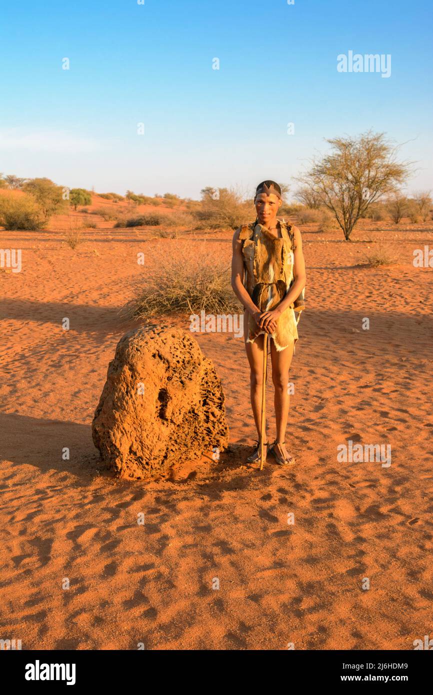 San (Saan) Bushmen, indigenous hunter-gatherers, inspect termite mounds ...