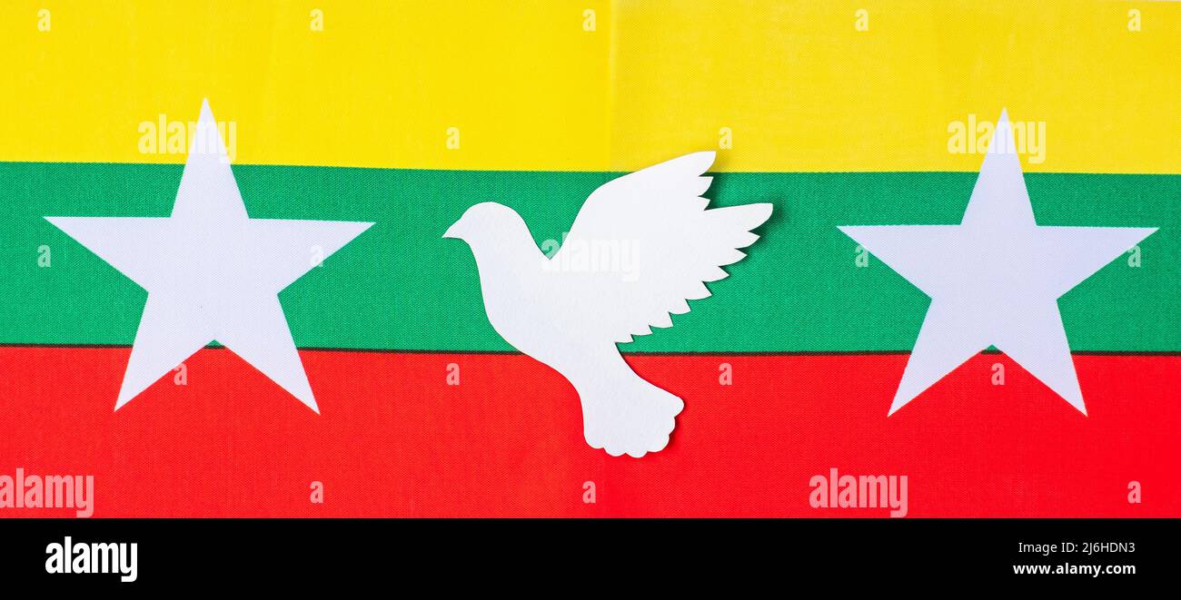 Support for Myanmar people, peace dove with flag of Myanmar. Freedom ...