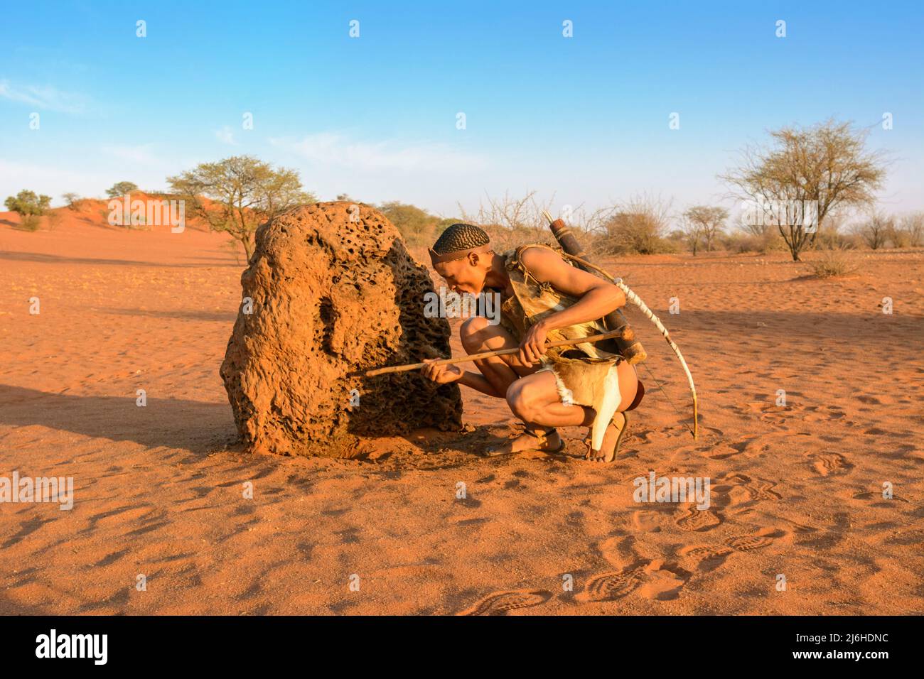 San (Saan) Bushmen, indigenous hunter-gatherers, inspect termite mounds ...
