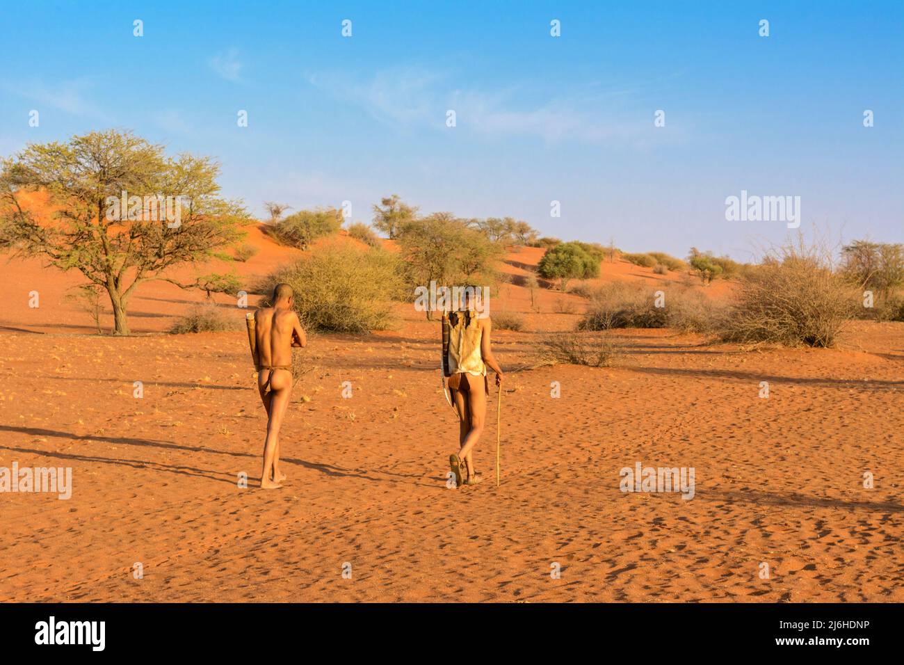 San (Saan) Bushmen, semi-nomadic indigenous hunter-gatherers, have ...