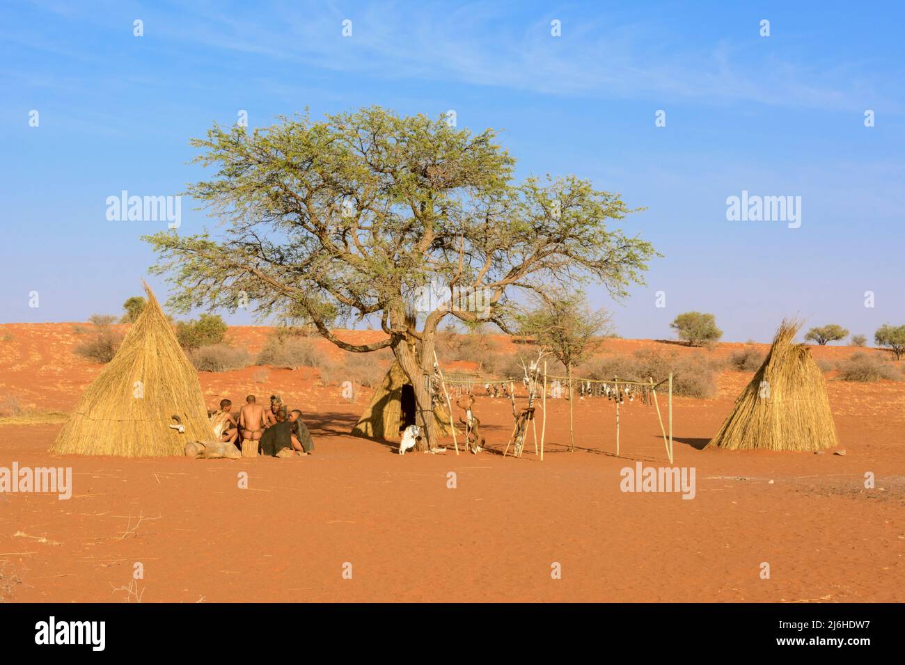 Bushman africa family hi-res stock photography and images - Alamy
