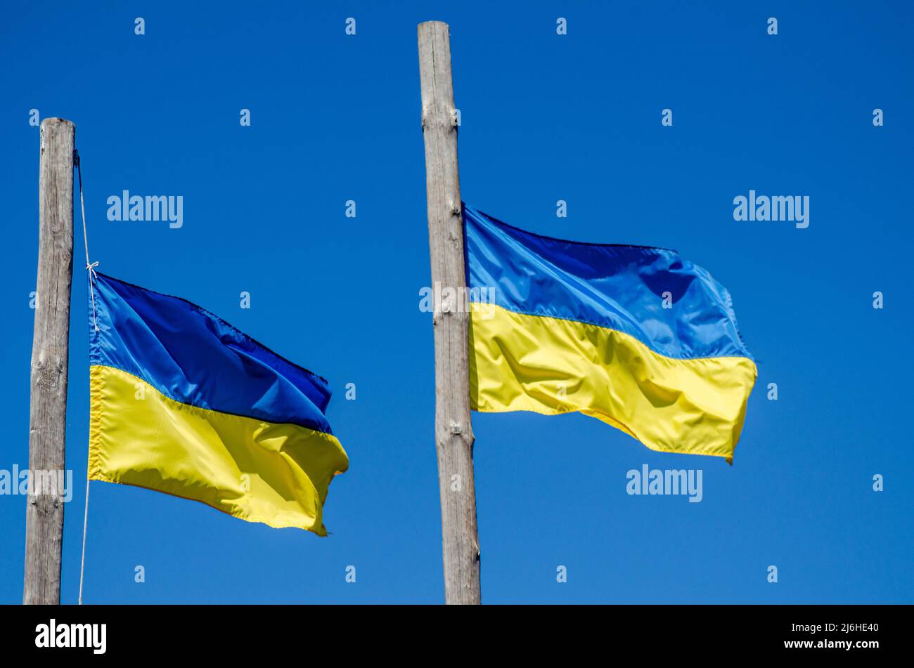 Ukrainian national official flag on blue sky background Stock Photo - Alamy