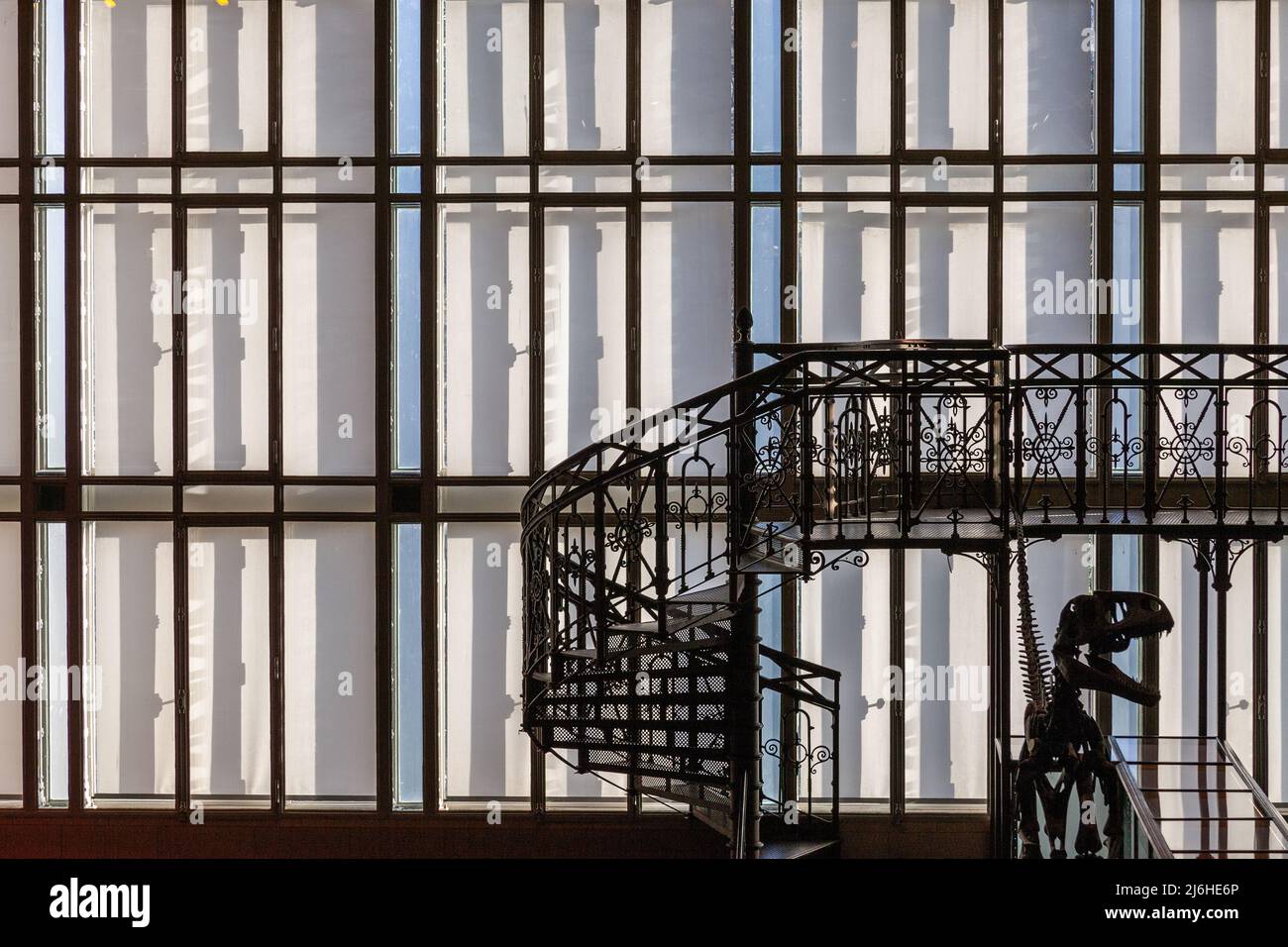 Wrought iron staircase and backlit dinosaur skeleton at the Belgian ...