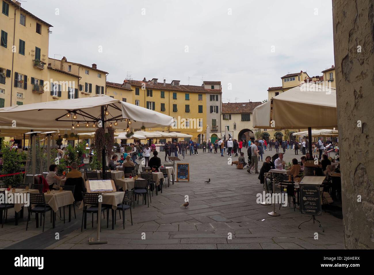 people dining at restaurants in the old roman amphitheatre,Piazza dell ...