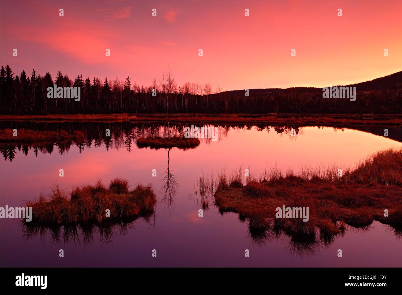 Early morning before sunrise, twilight with pink and violet light ...