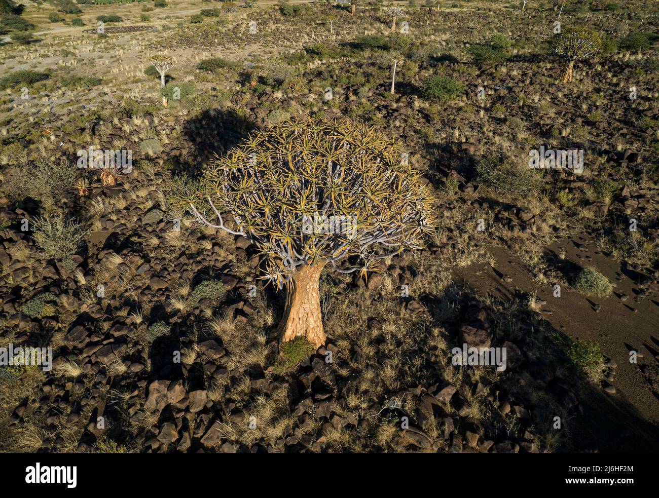 (220502) -- WINDHOEK, May 2, 2022 (Xinhua) -- Aerial photo taken on ...