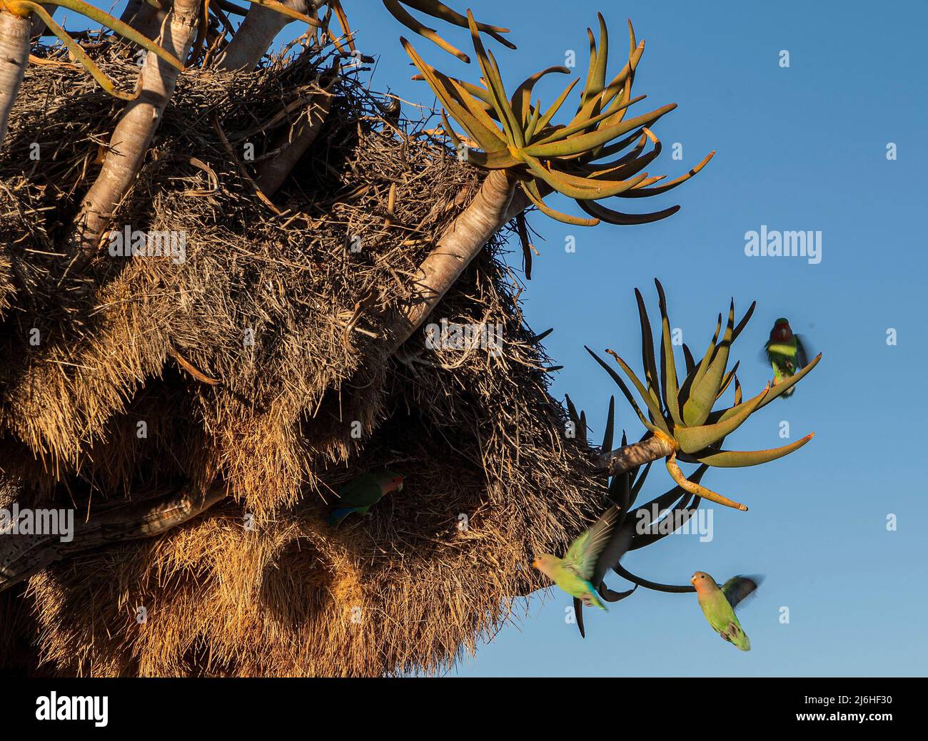 (220502) -- WINDHOEK, May 2, 2022 (Xinhua) -- Photo taken on April 30 ...