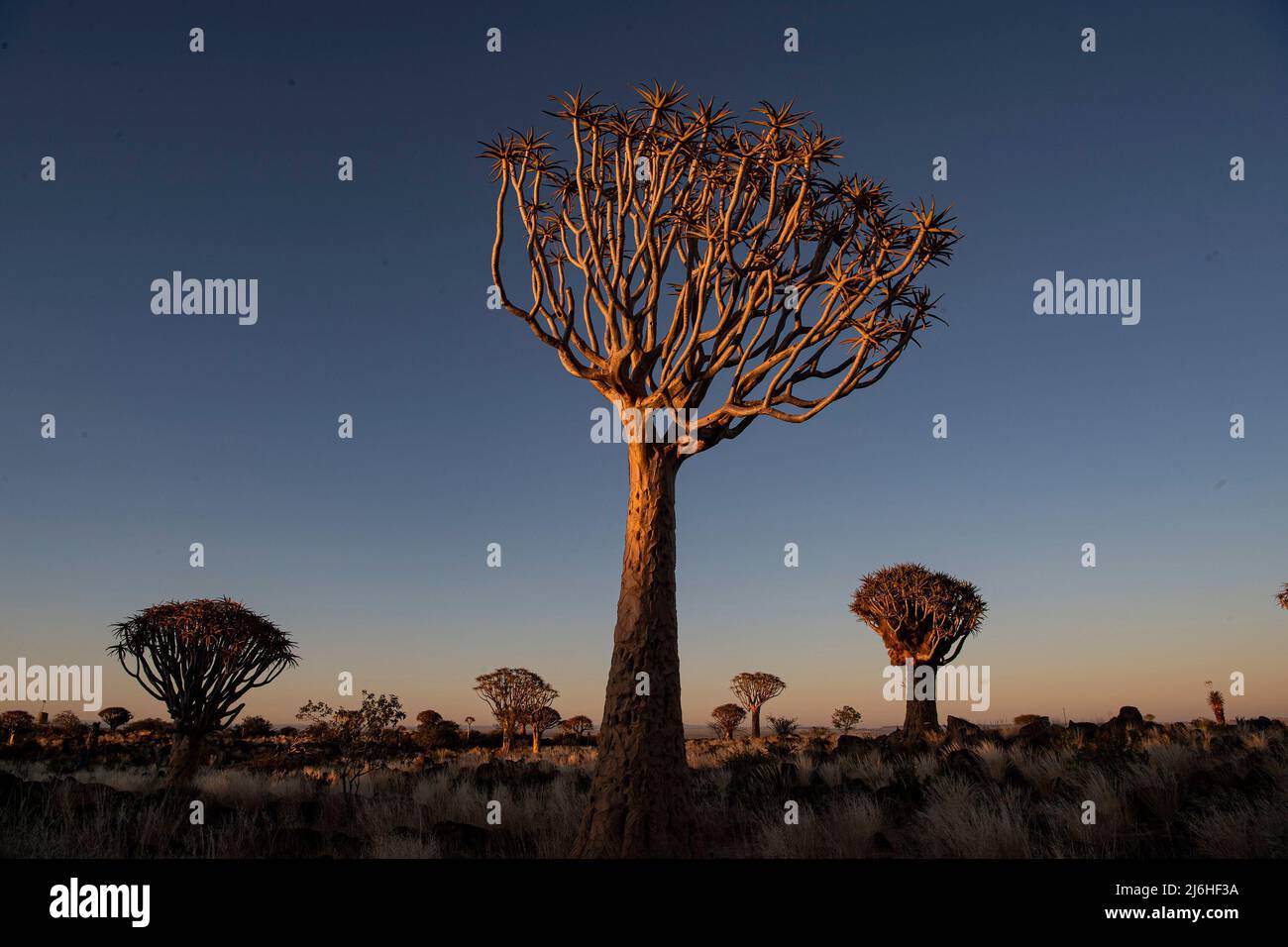 (220502) -- WINDHOEK, May 2, 2022 (Xinhua) -- Photo taken on April 30 ...