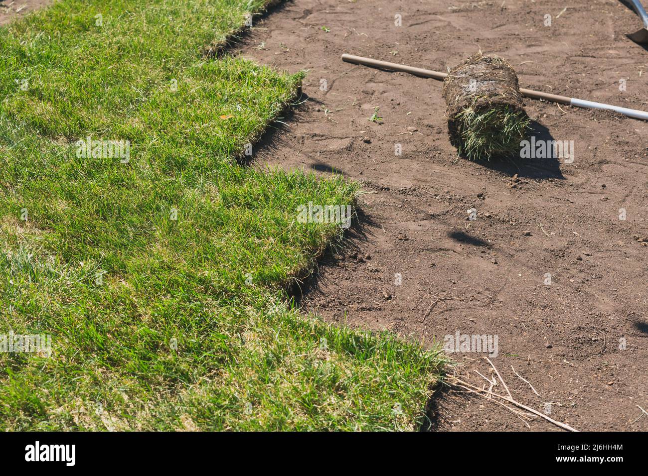 Laying sod for new garden lawn - turf laying concept Stock Photo - Alamy