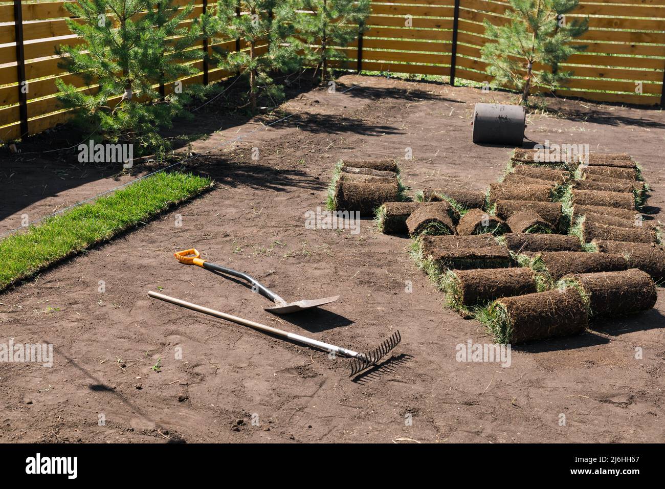 Laying sod for new garden lawn - turf laying concept Stock Photo - Alamy