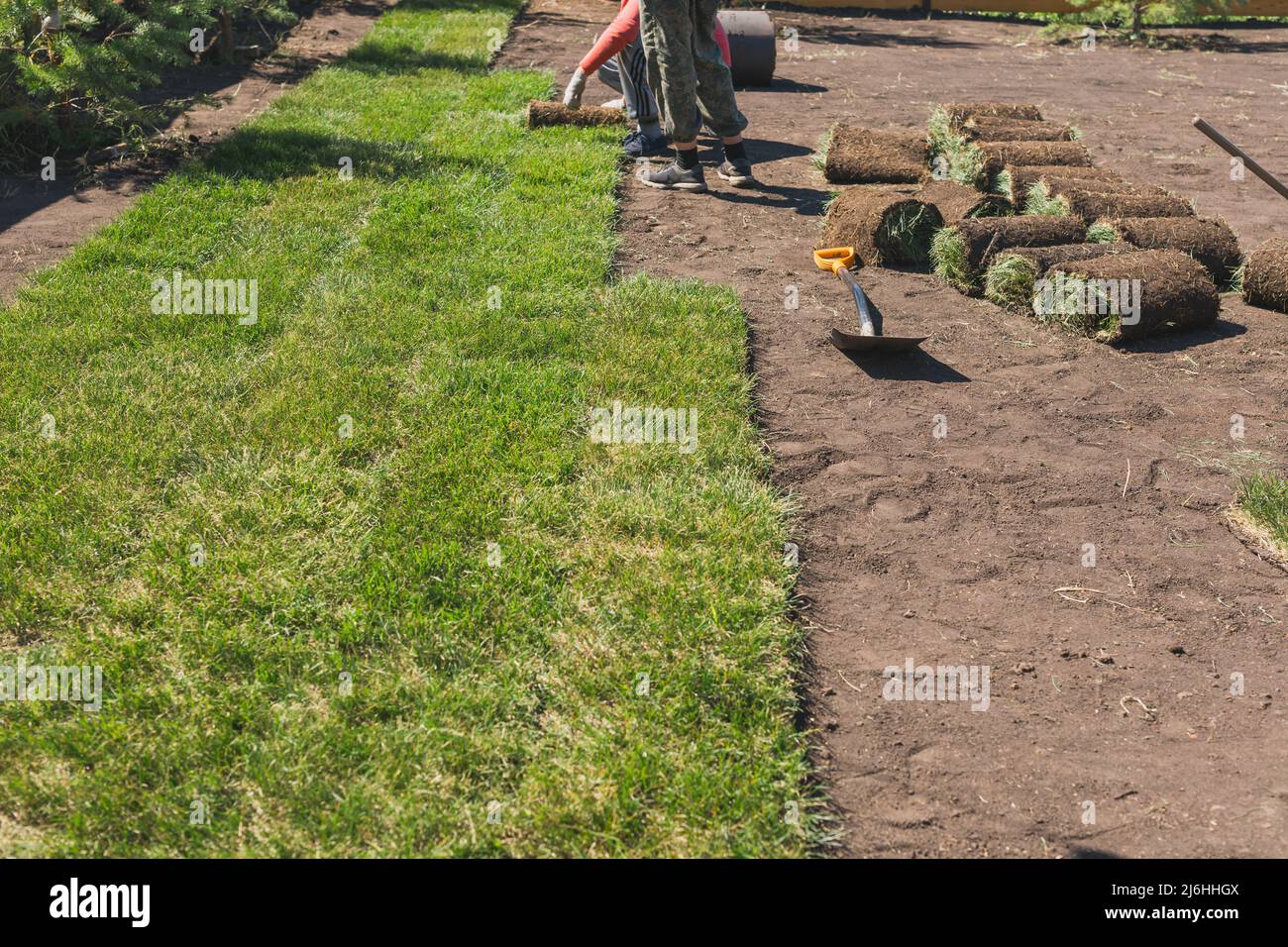Laying sod for new garden lawn - turf laying concept Stock Photo - Alamy