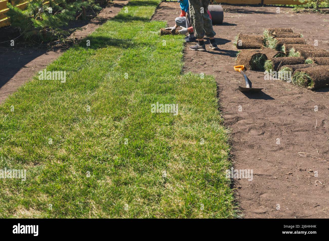 Laying sod for new garden lawn - turf laying concept Stock Photo - Alamy