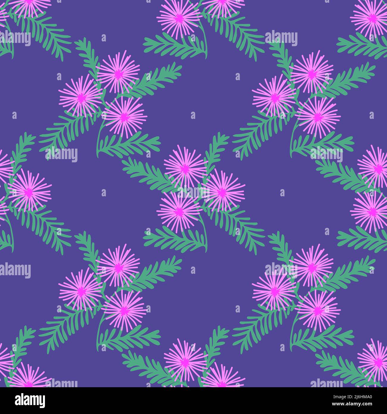 Mimosa flower drawing Stock Vector Images - Alamy