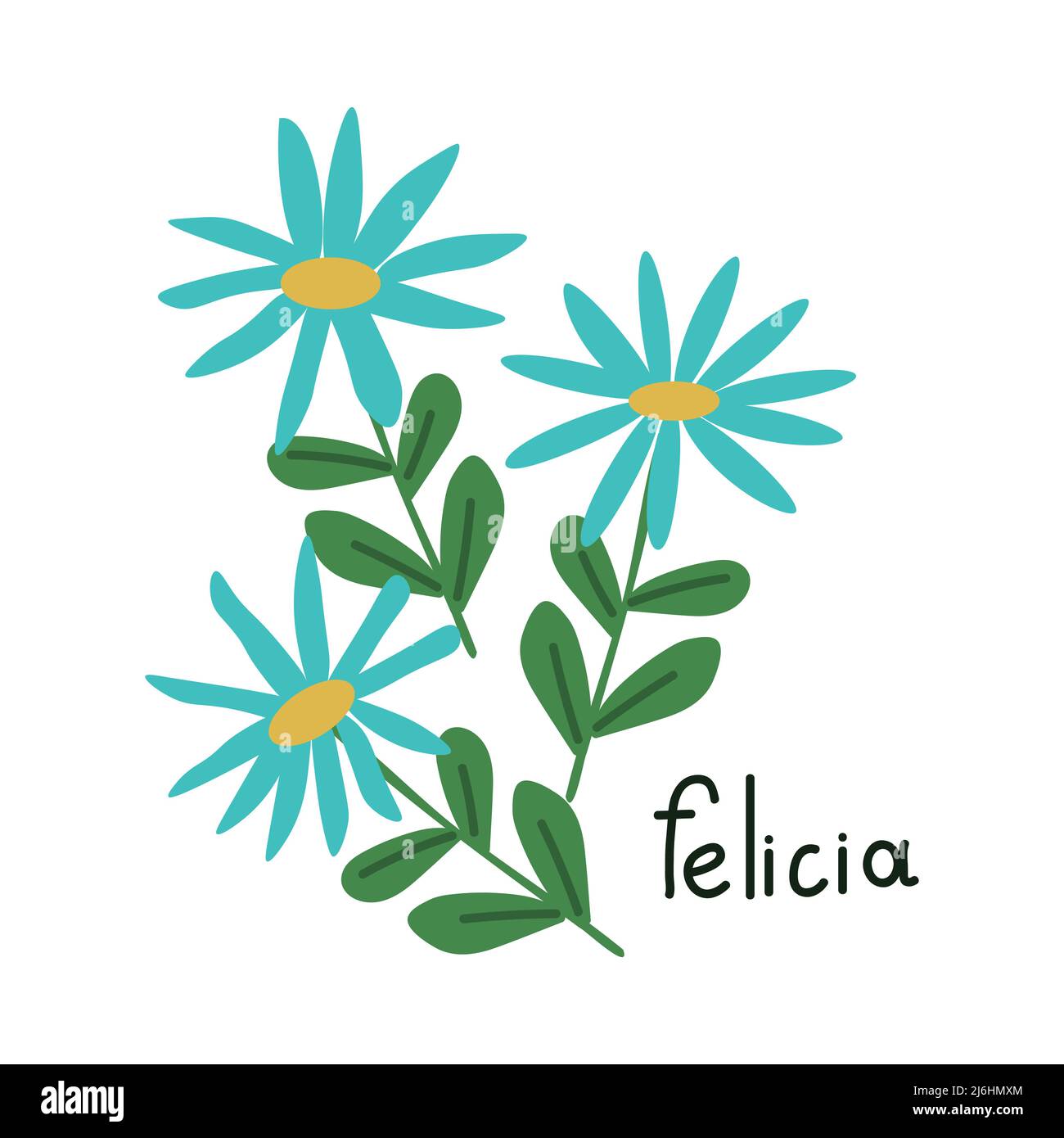 Simple blue felicia vector flowers illustration Stock Vector Image ...