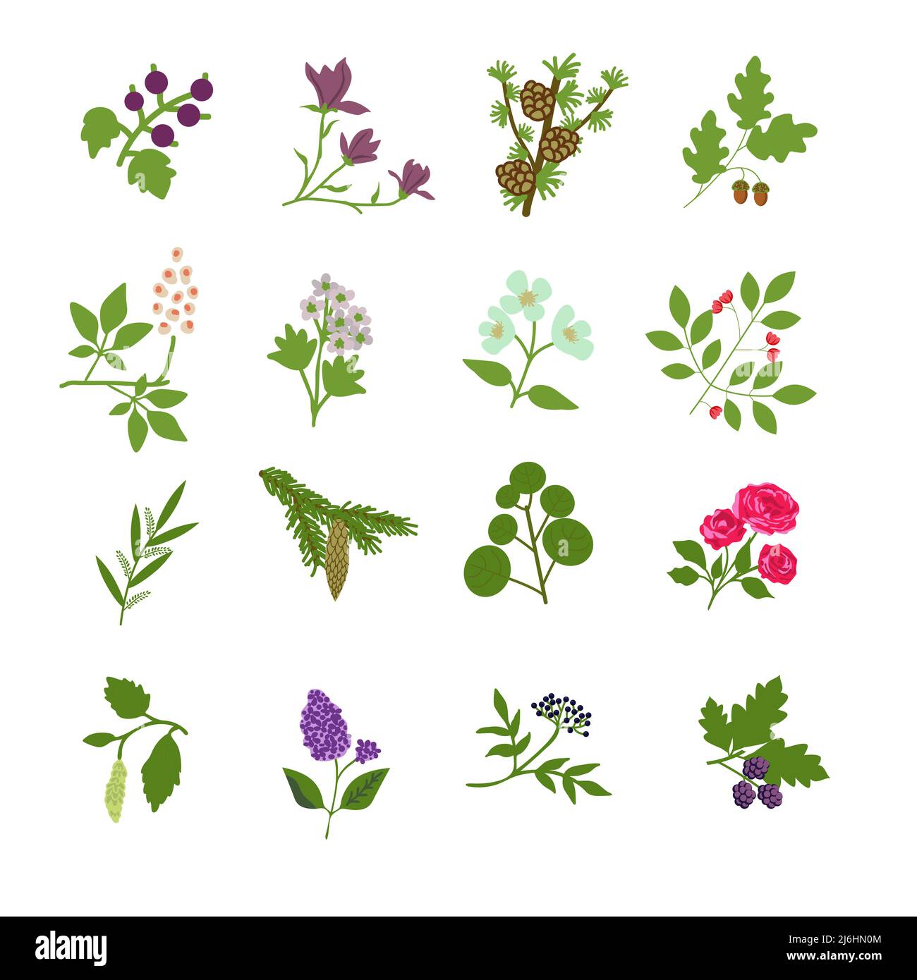 Isolated vector plants decorative set Stock Vector Image & Art - Alamy