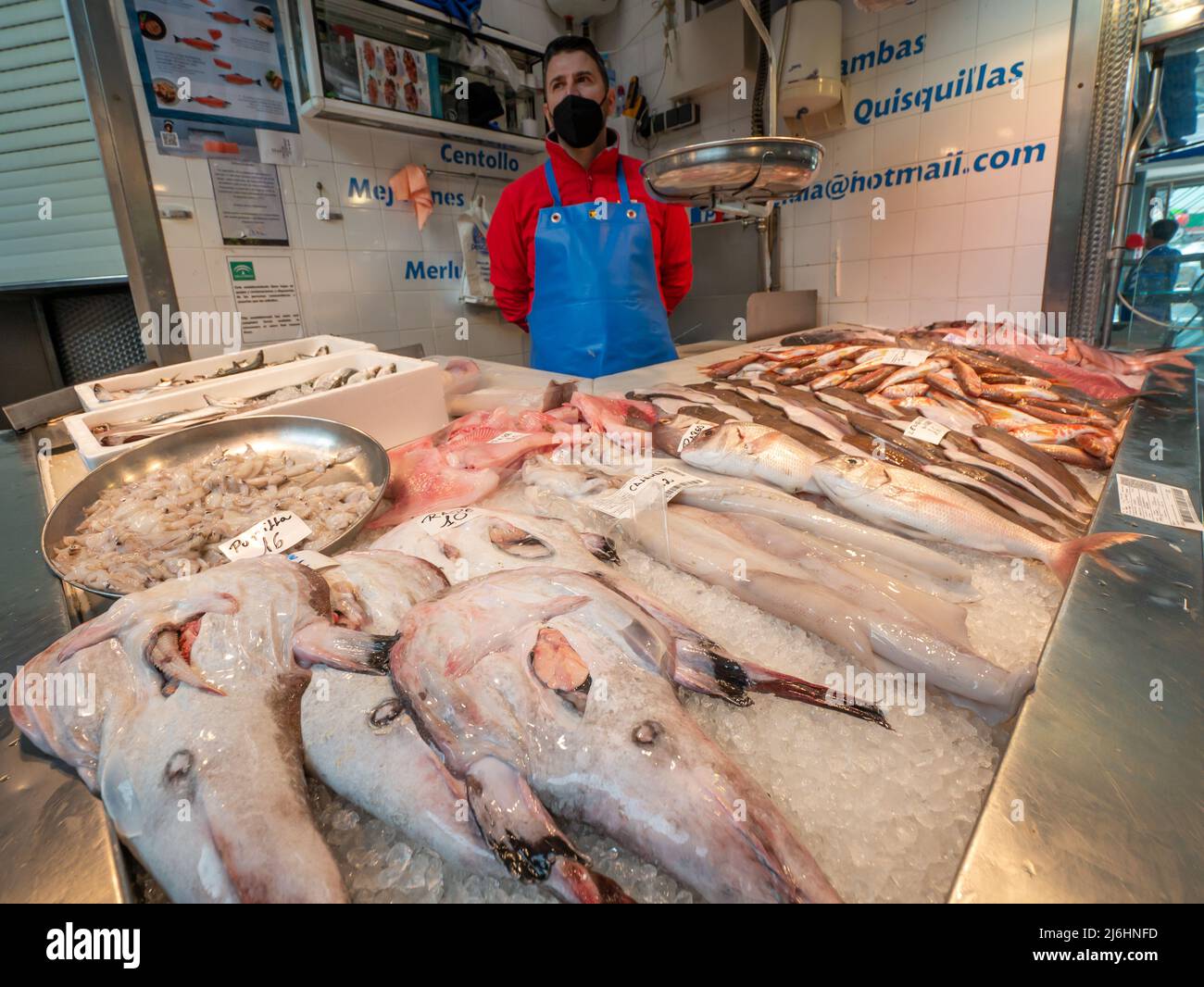 Fresh Fish In A Market Hall Stock Photo - Alamy