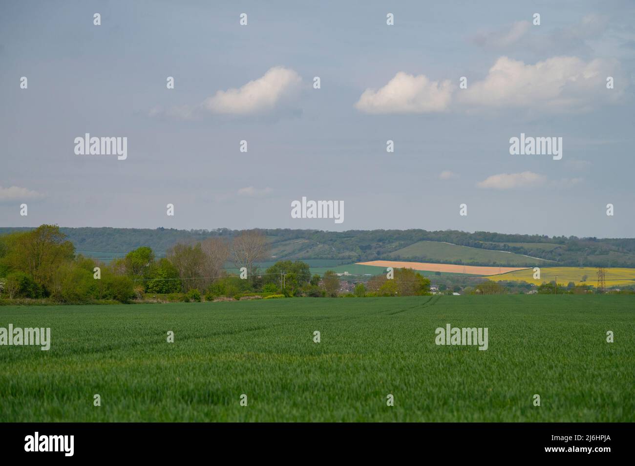 Spring in Kent, crops starting to rise and the North Downs hills ...