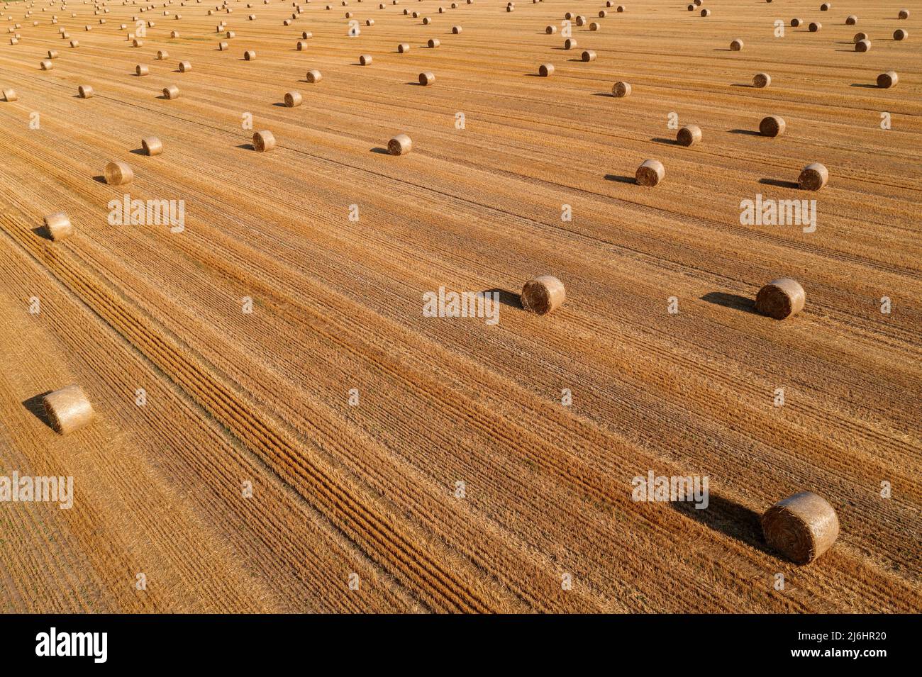 Rolled wheat hi-res stock photography and images - Alamy