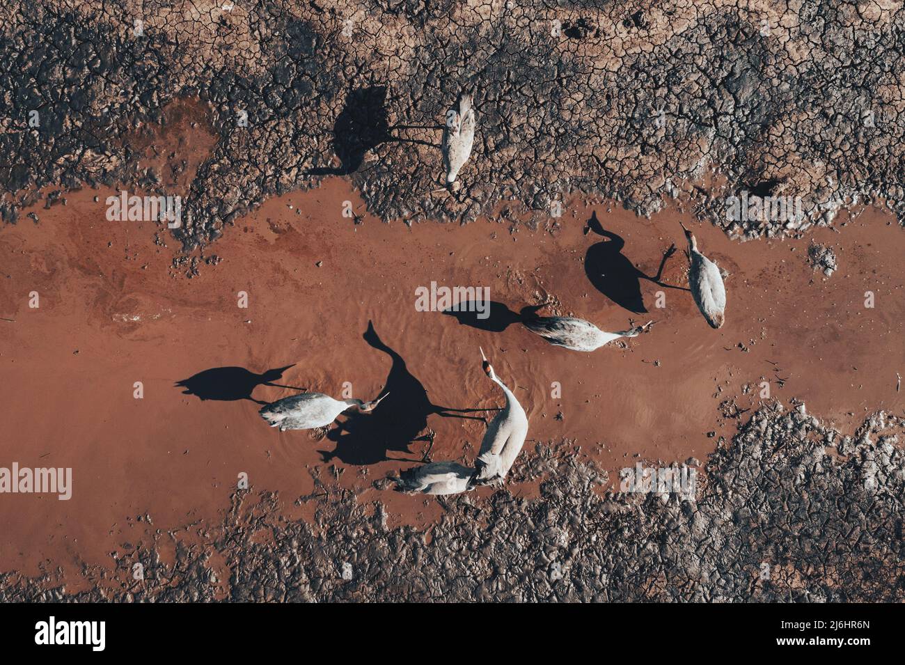 Top down crane shot hi-res stock photography and images - Alamy