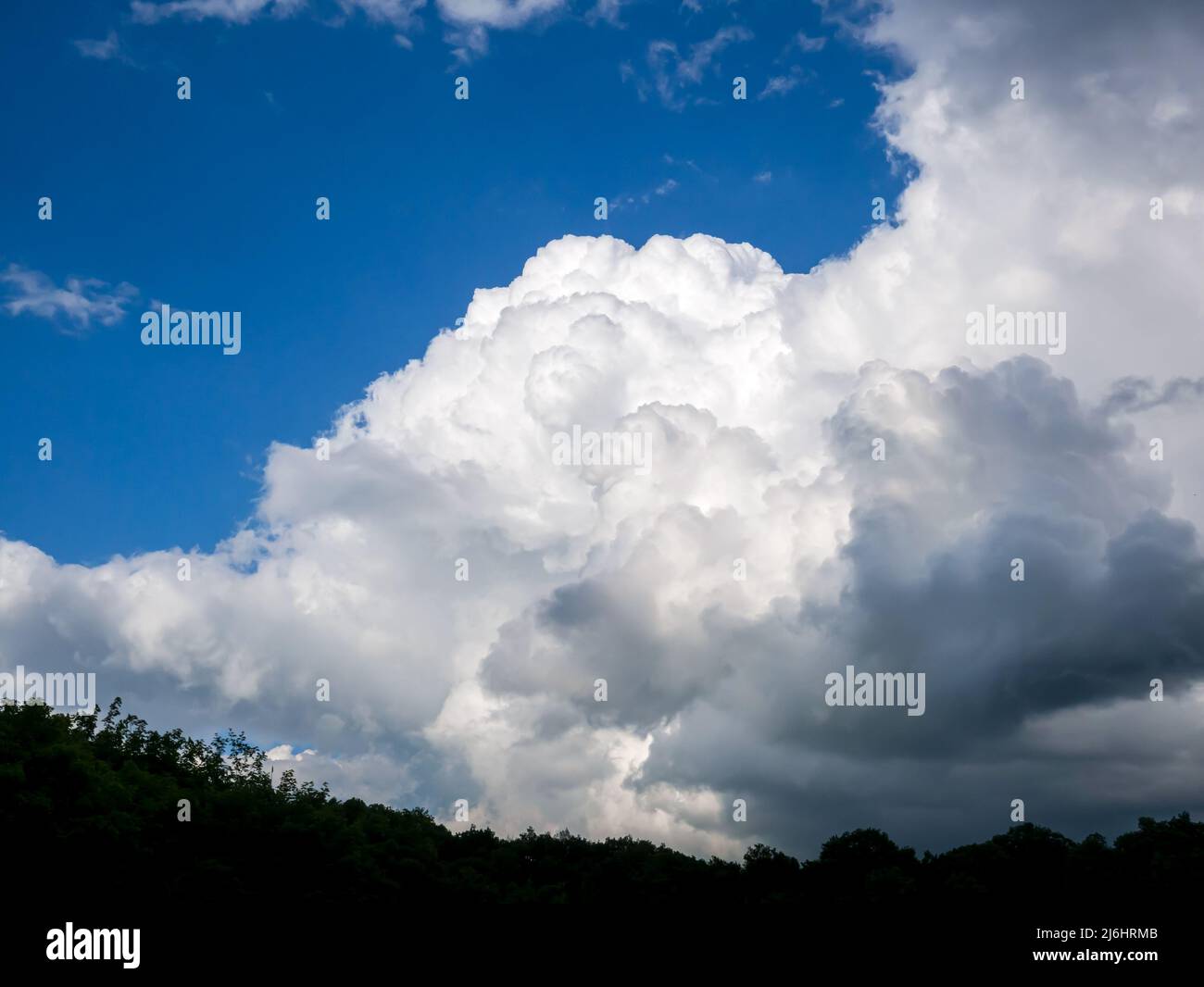 Massive rain cloud, Cumulus congestus, over the horizon with a dark ...