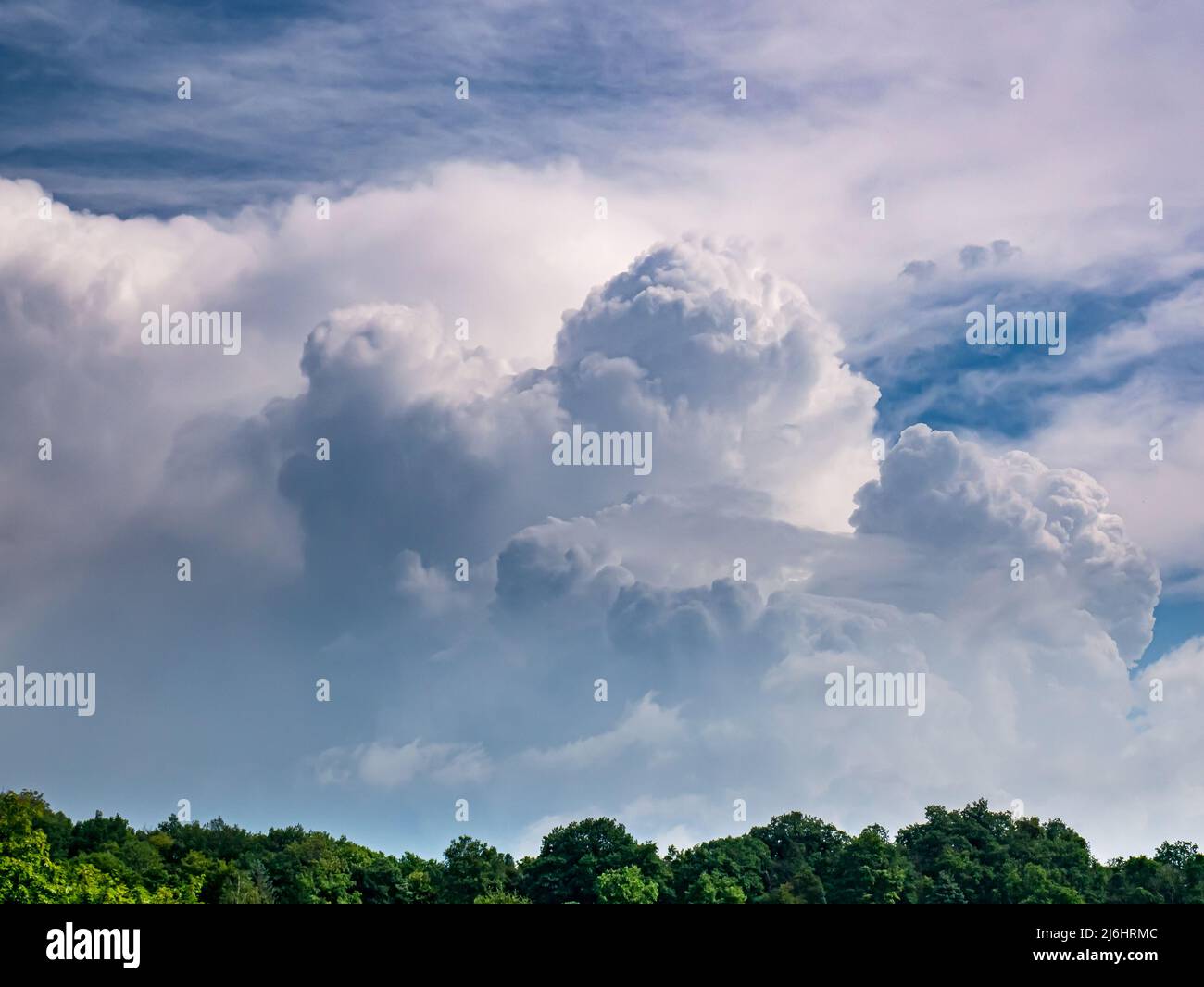 Massive rain cloud, Cumulus congestus, in the blue sky over the treetops Stock Photo - Alamy