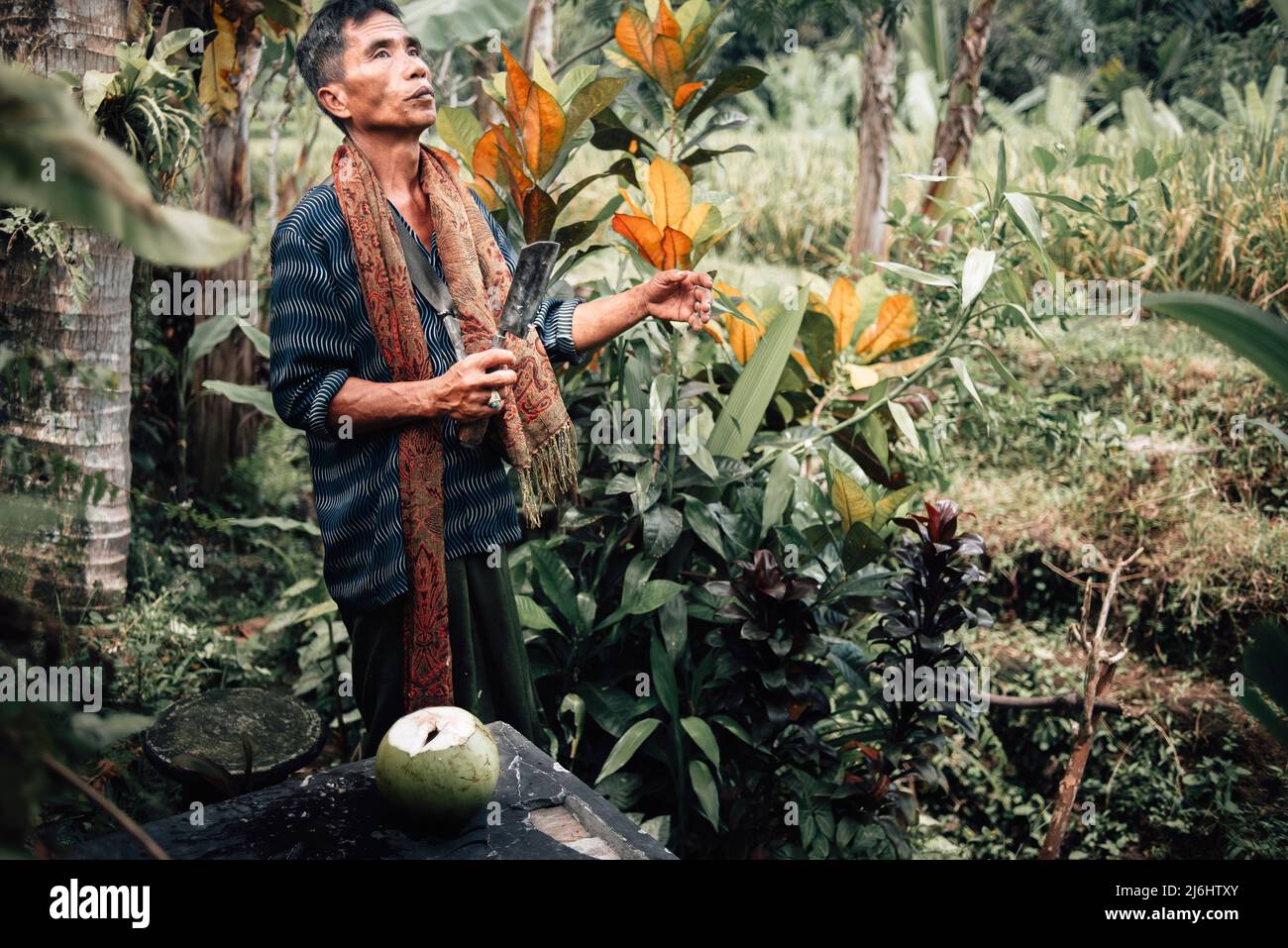 Rural daily life at the village near Ubud, Ubud District, Bali ...